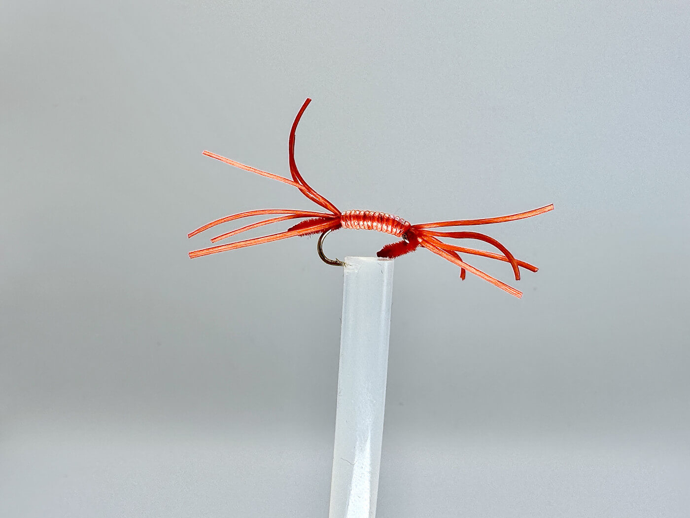 Bloodworm – Raprance