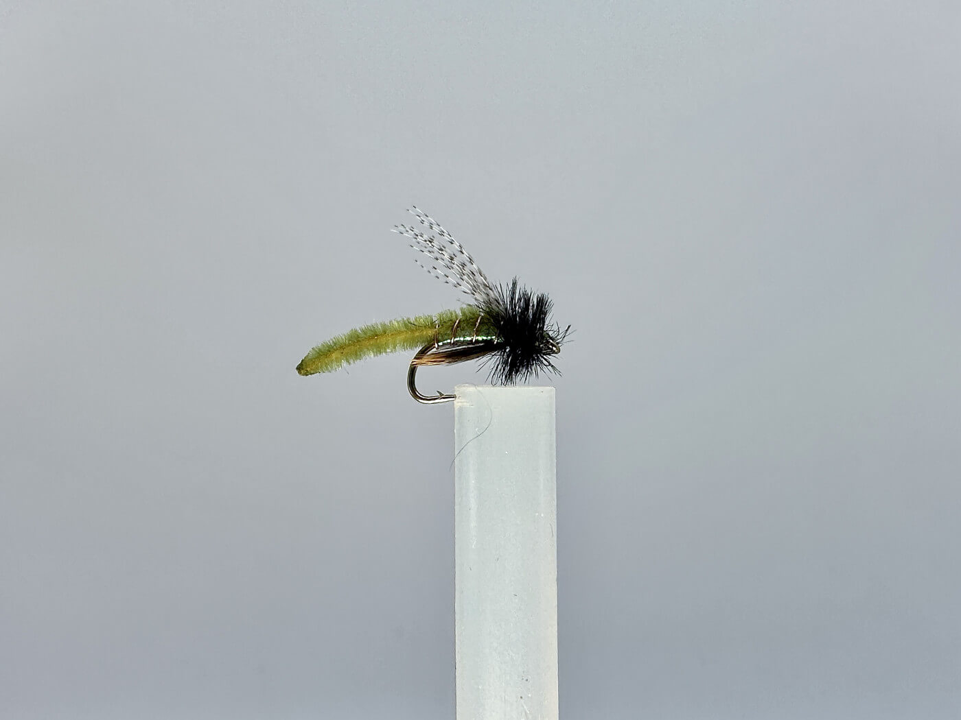 Caddis Poopah – Raprance