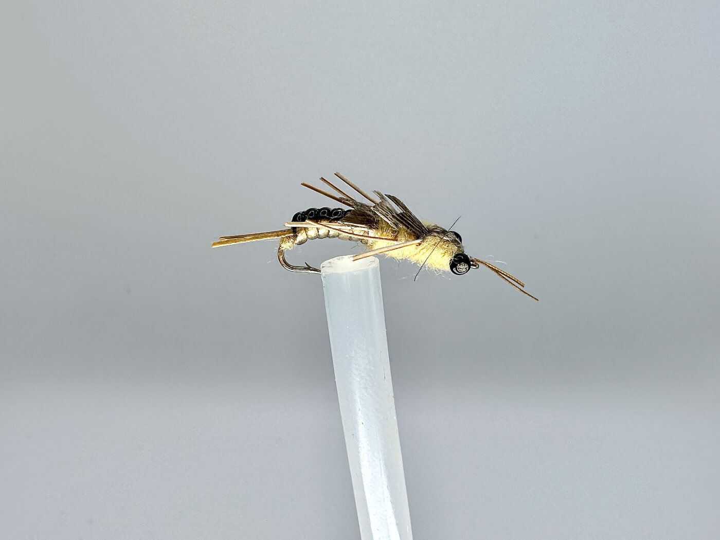Stone Fly – Raprance
