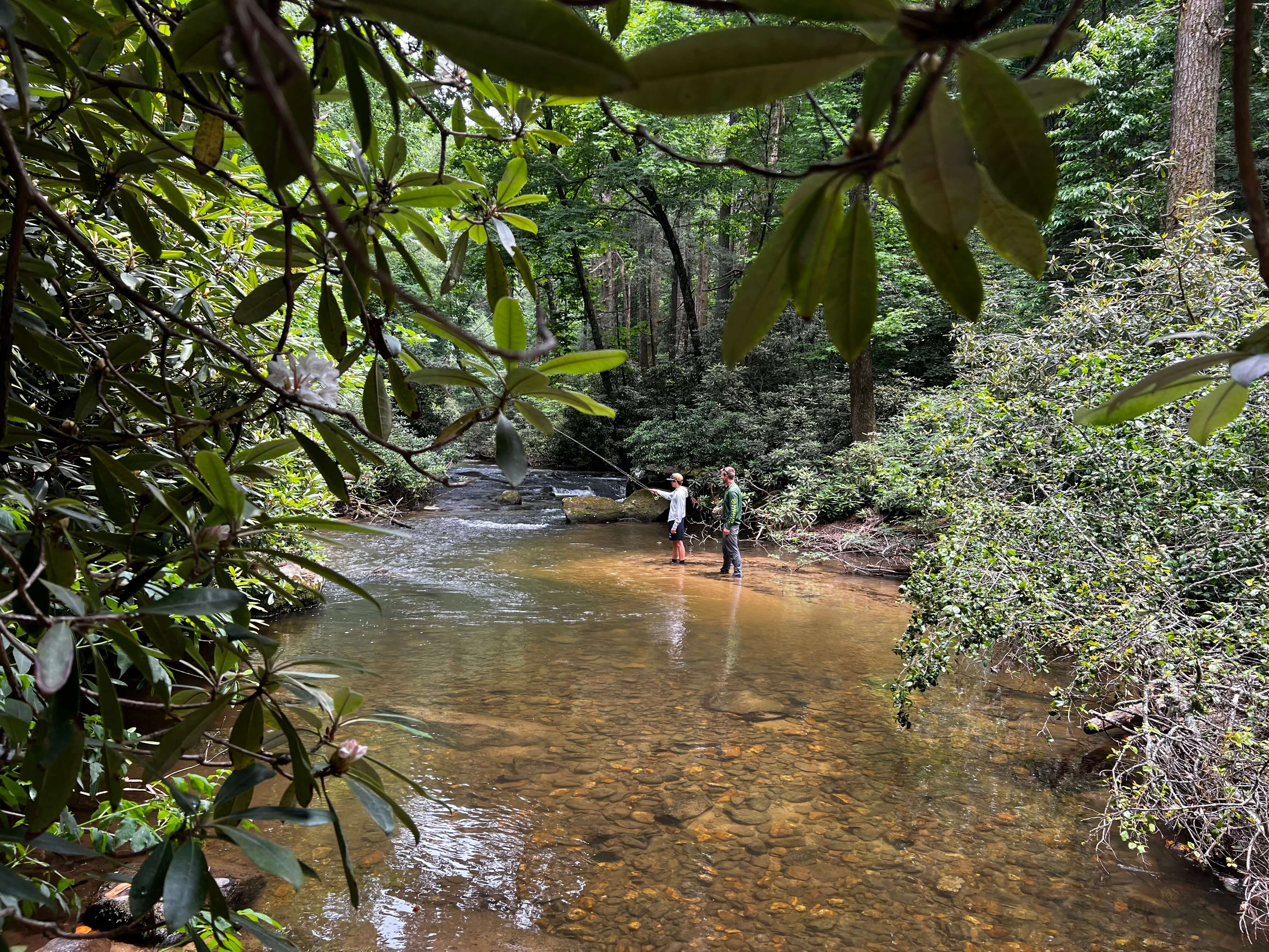 Trout Streams of North Georgia – Raprance