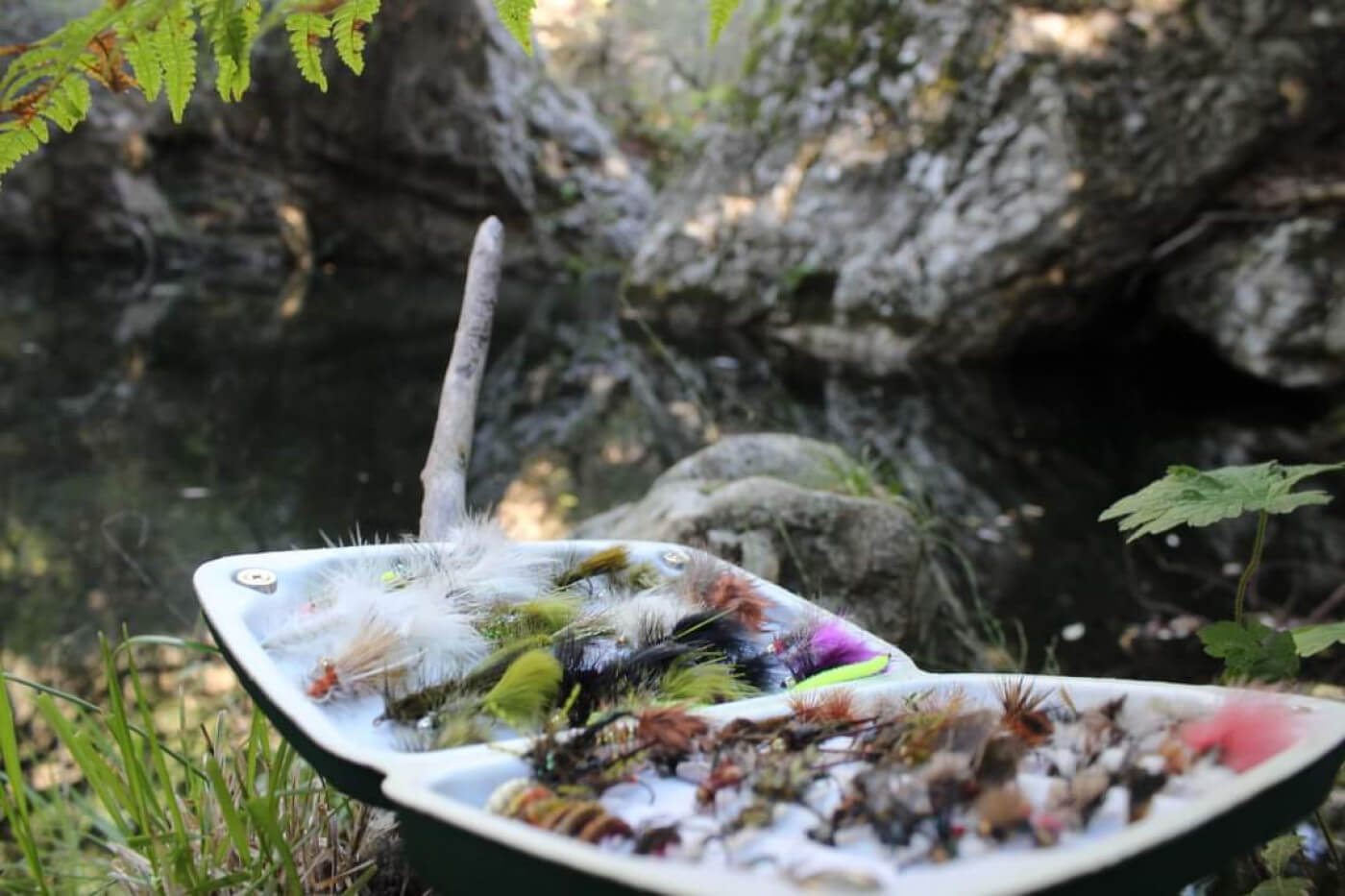 Flies: A Comprehensive Guide to Selecting Top-Rated Fishing Flies for ...