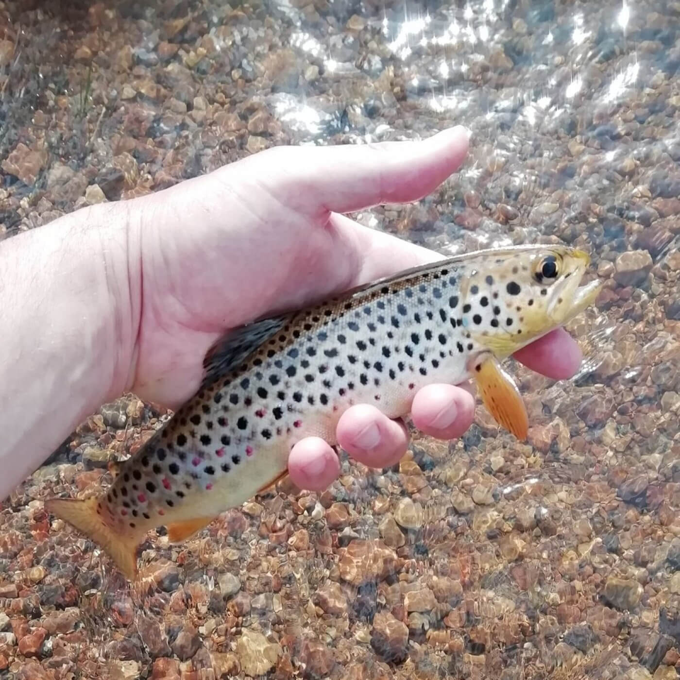 Fishing Bag Essentials: Choosing the Best Multi-Compartment and Should ...