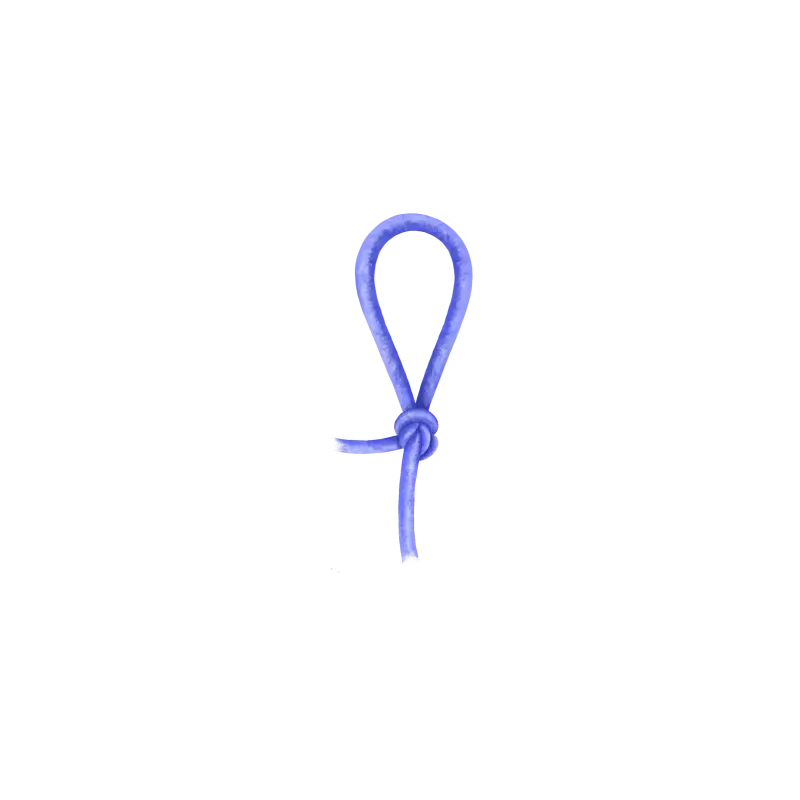 How to tie the Perfection Loop – Raprance