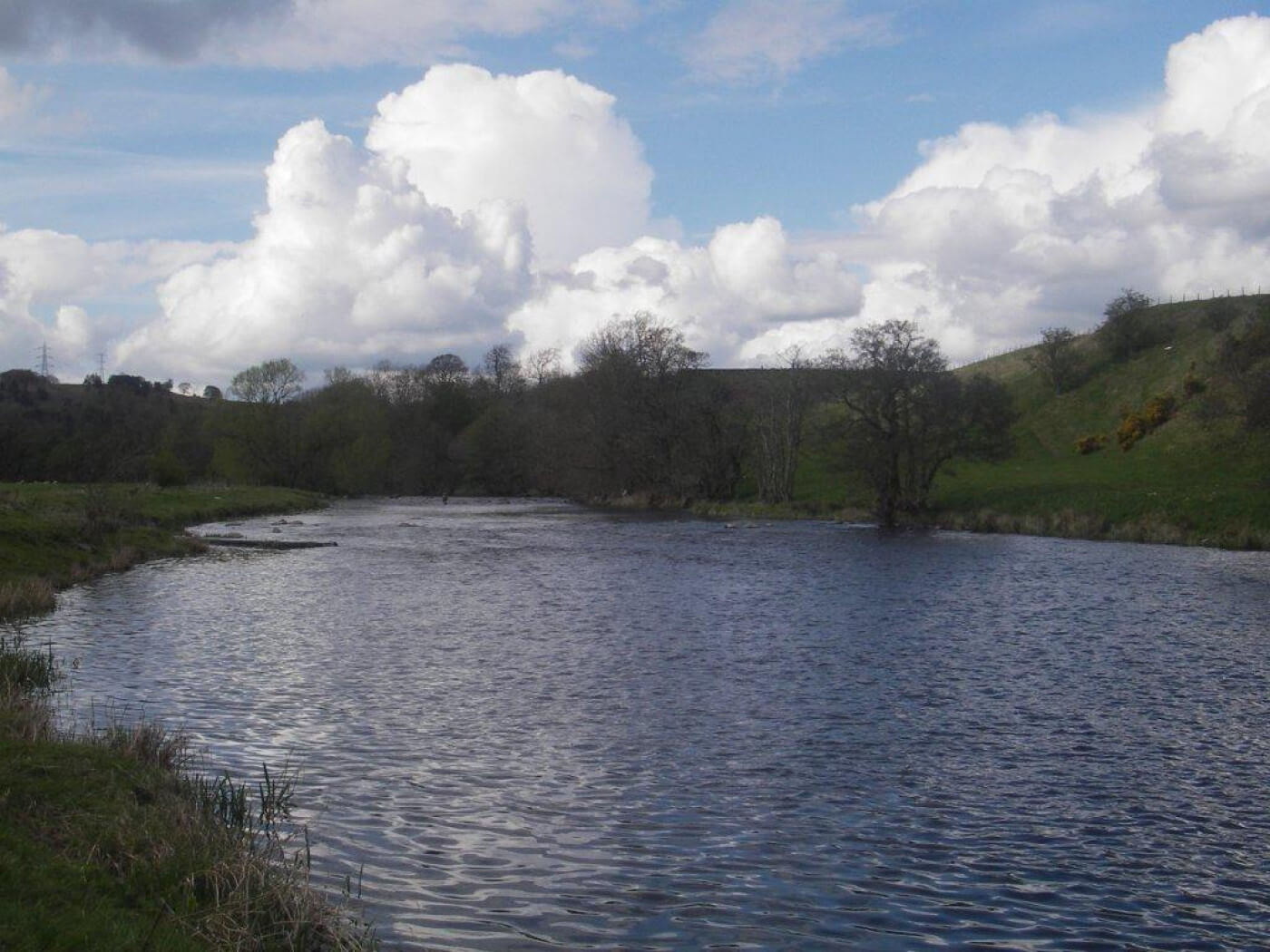 The Durham Fly Fishing Company – Raprance