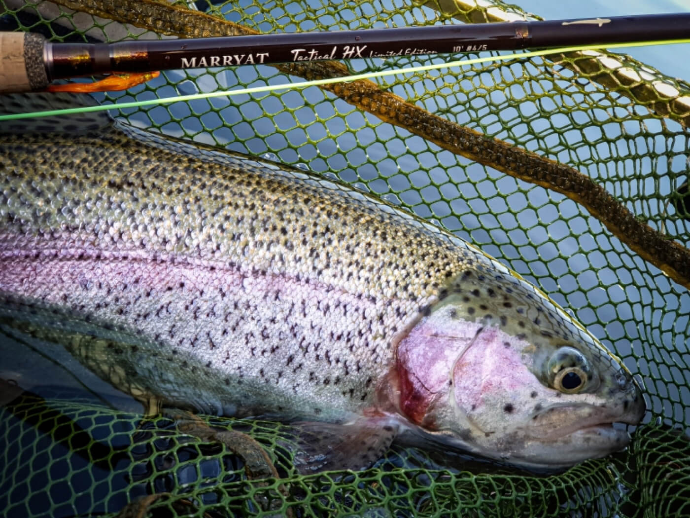 Monster Permit Sight Fishing – Raprance